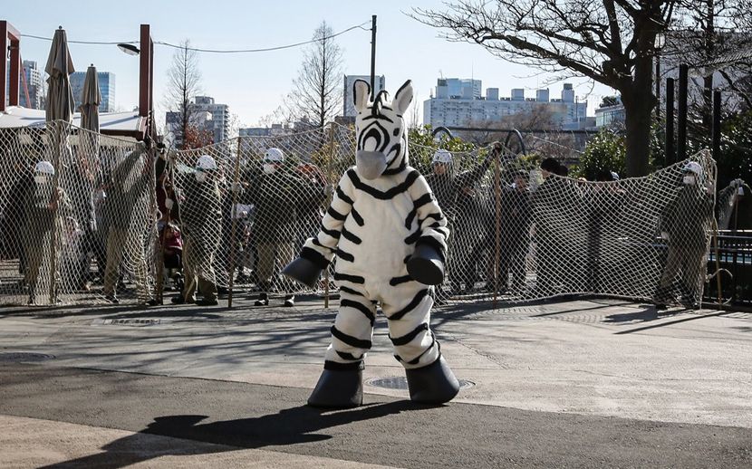 快来抓我呀!日本动物园的卖萌演习【寰球大百科141】