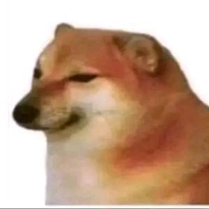 苏仰 