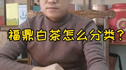 福鼎白茶是怎么分类的?