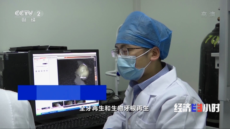 [经济半小时]牙齿再生技术正在科学家的实验室里变为现实
