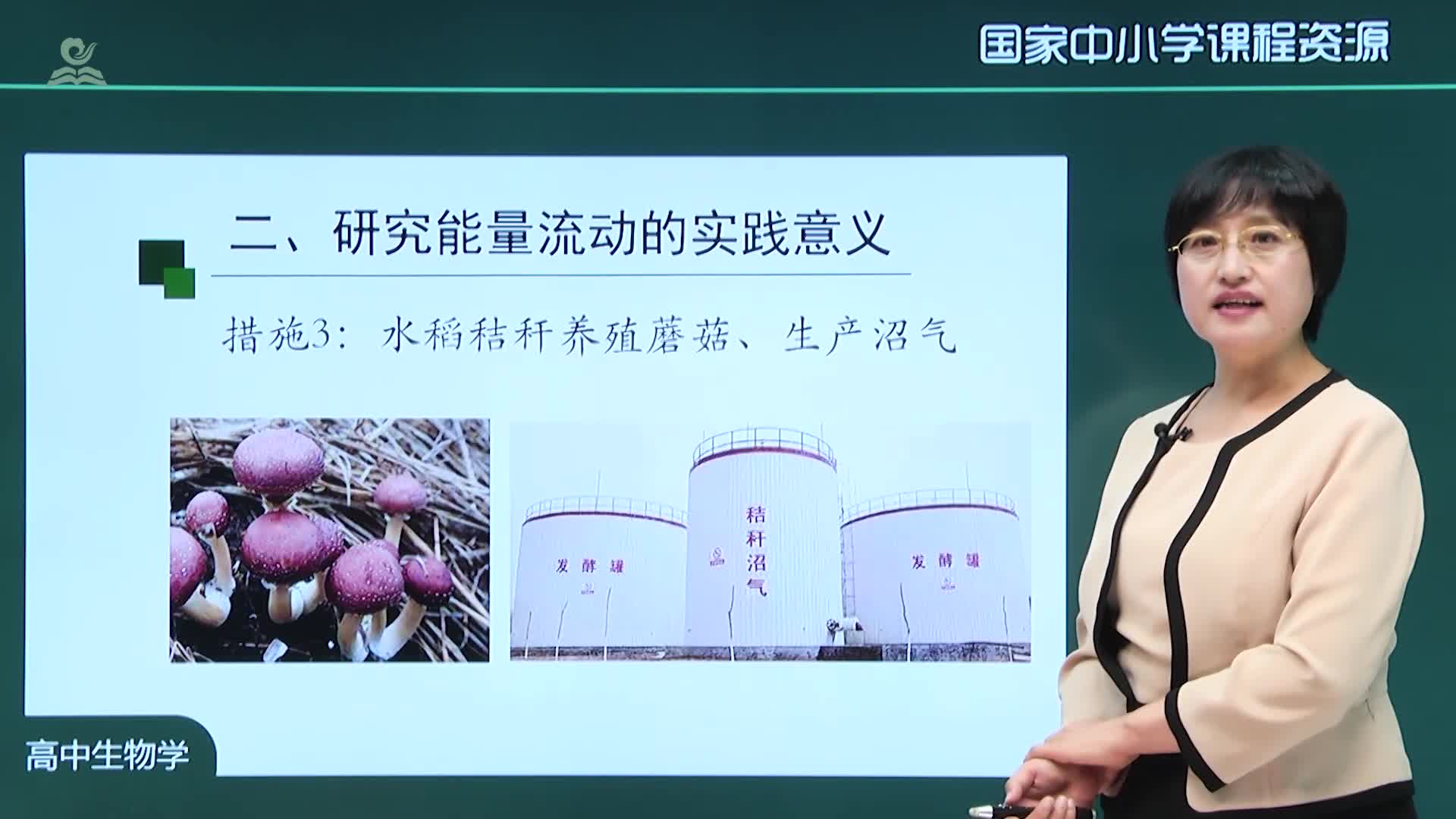 第3章 第2节 生态系统的能量流动(第二课时)