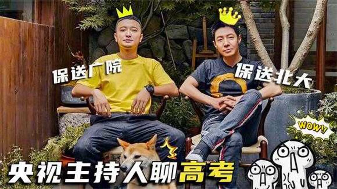 央视主持人聊高考经历:撒贝宁保送,小尼自曝没考试走后门上大学