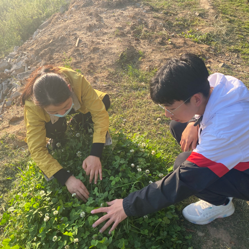 阜阳一道数学 