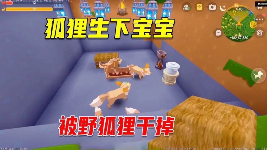 迷你世界35:狐狸生下狐狸宝宝,刚驯服的家狐狸会被野狐狸干掉