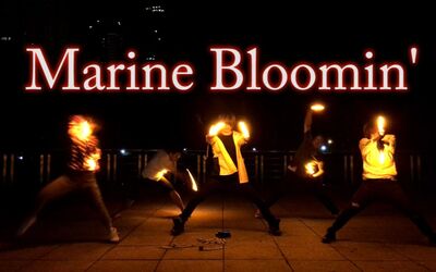 【WOTA艺】Marine Bloomin‘【限定组合福建烤老鼠】