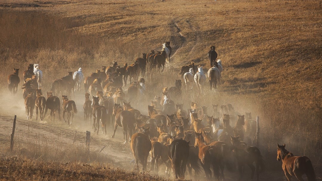 八上-课外-《梁甫行》诵读
