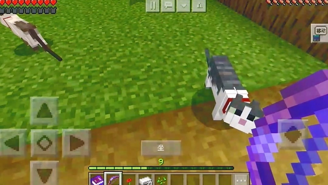 《我的世界》生存实况P2