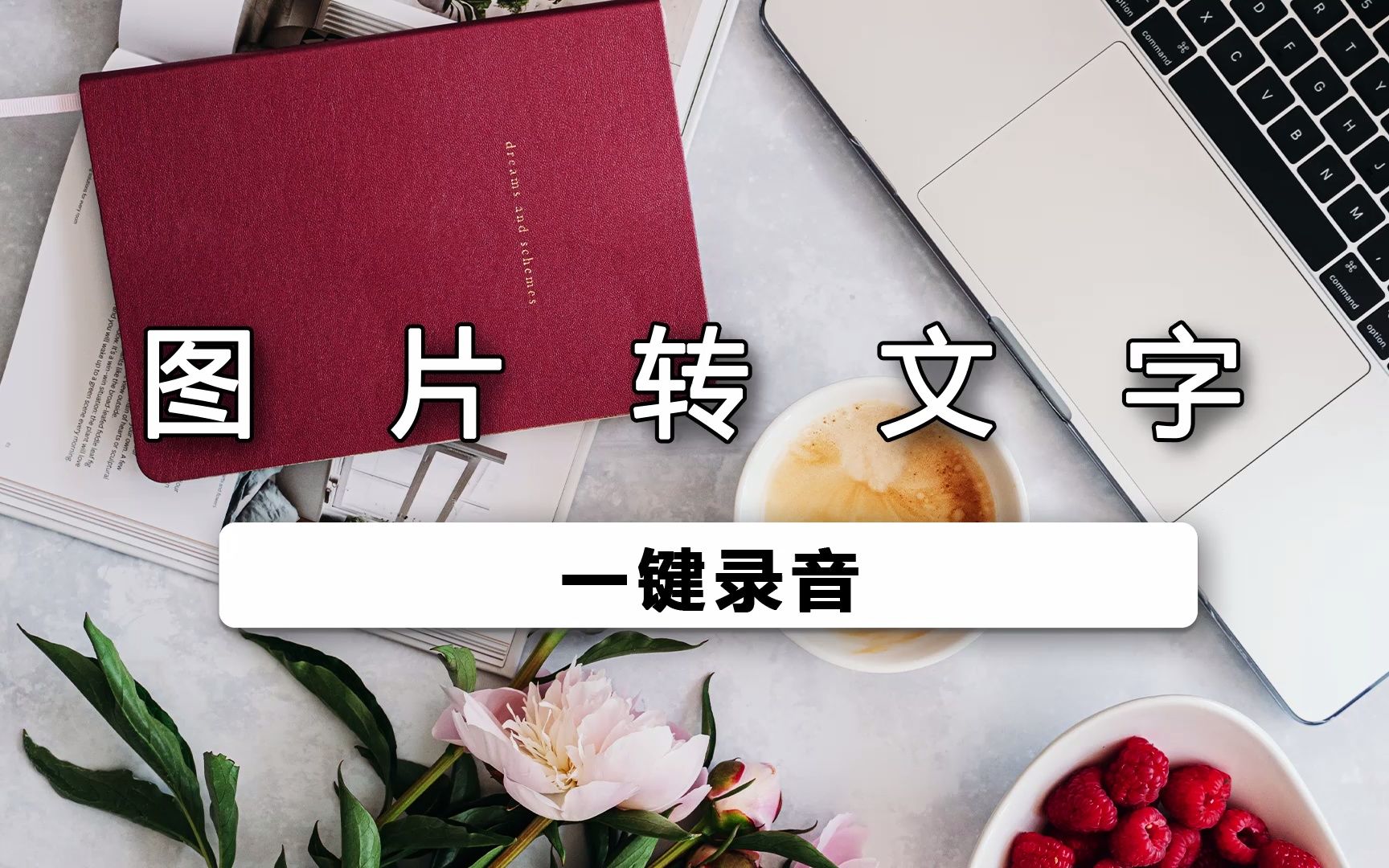 图片怎样转换文字