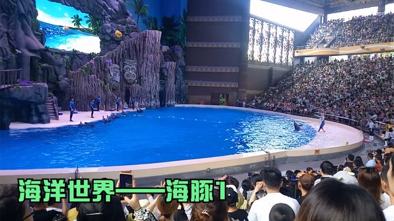 海洋世界——海豚表演1