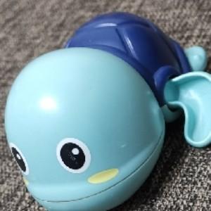 松湖里的小乌龟 