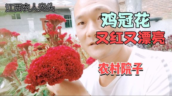 这种花真不错太漂亮了,好看还有药用价值。还可以煲汤。