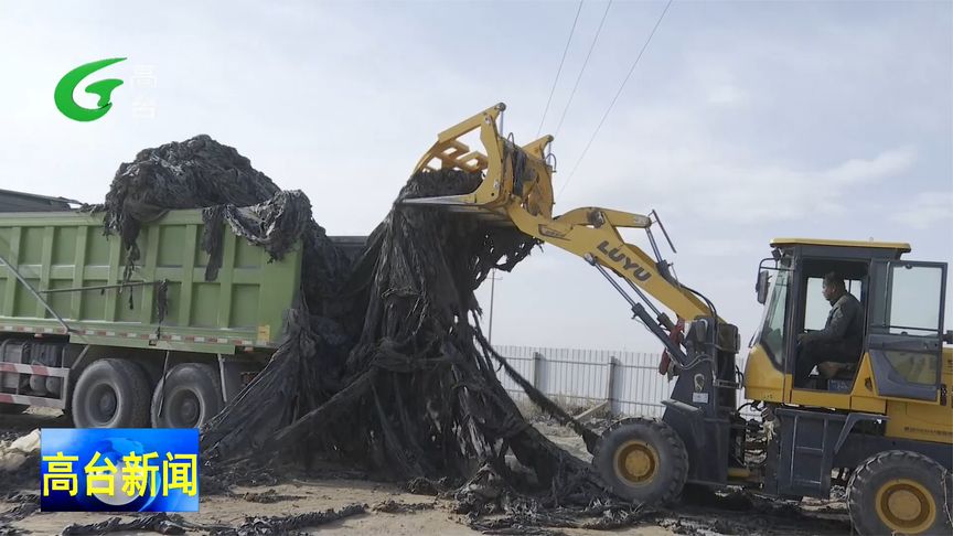 高台县废旧地膜回收率达到85%以上