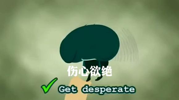 人生开始倒计时,看苍蝇如何度过?《苍蝇的一分钟生命》下