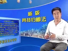 钓鱼视频技巧浮标语言分类