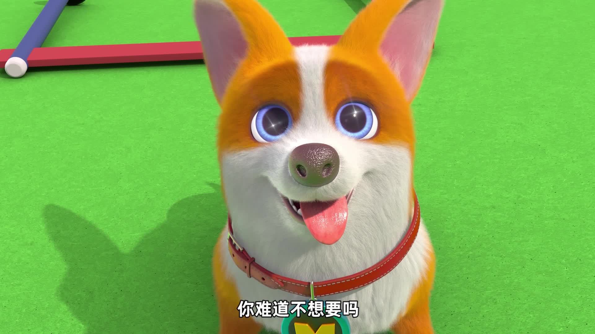 飞狗MOCO:还是等吃饱了再训练吧!