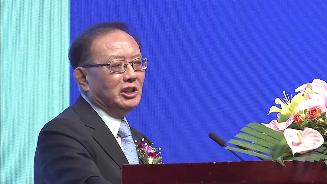 魏建国 在首届跨境电子商务国际论坛上致辞(聚贸承办)