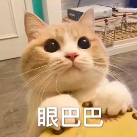 西几说 