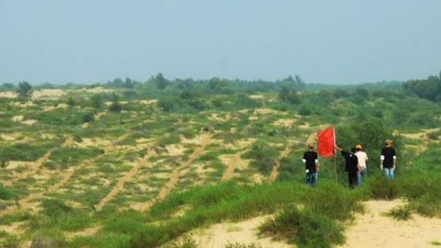 沙漠变绿洲!中国人治沙真的很努力,种植树木高达30多万棵