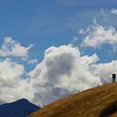 笑看江湖231684193 