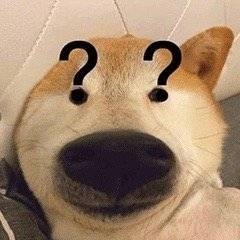 小尹的B站号 