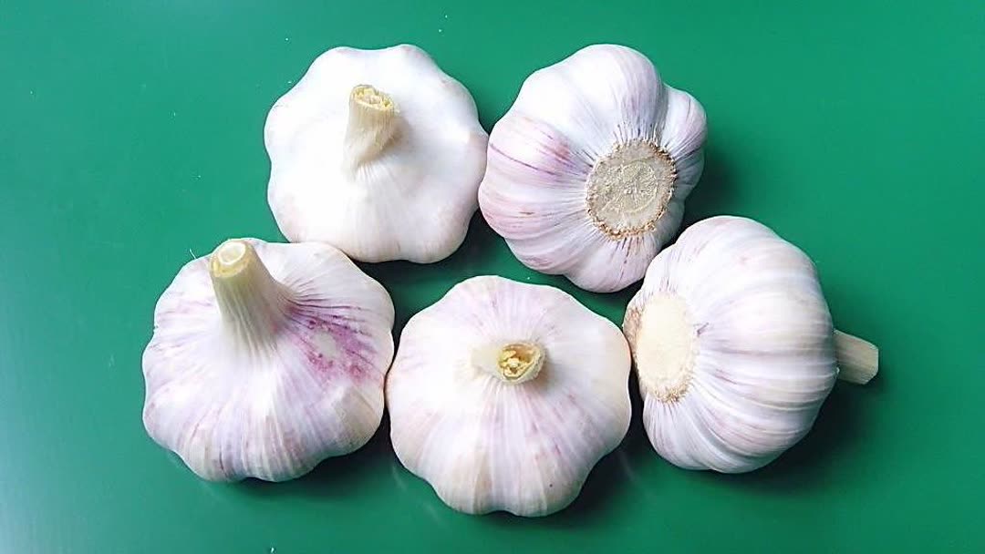 口中大蒜味难去除!教您3个小妙招,立马去除口中异味