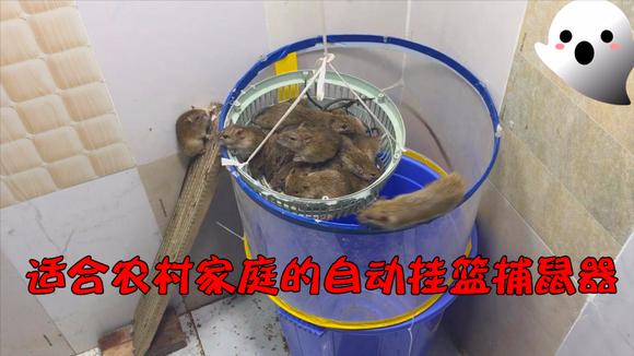 超好用的挂篮捕鼠器,自动抓老鼠