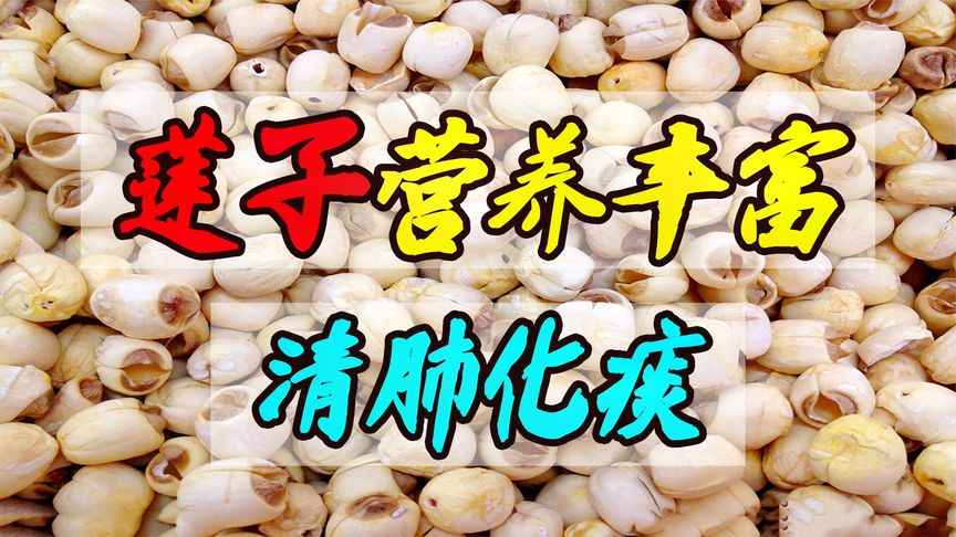 秋收莲子冬采藕,莲子营养丰富、清肺化痰,那莲子怎么做呢?