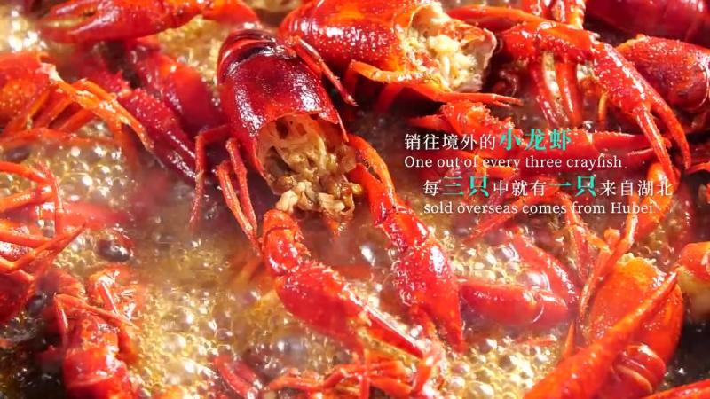 【疫后重振看湖北 | 湖之北,善若水】英雄的湖北,浴火重生、再创辉煌。...