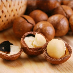 嘎嘣脆的大坚果 