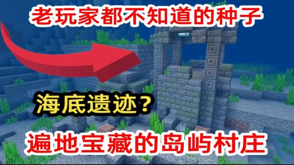 我的世界:老玩家都不知道的稀有种子～