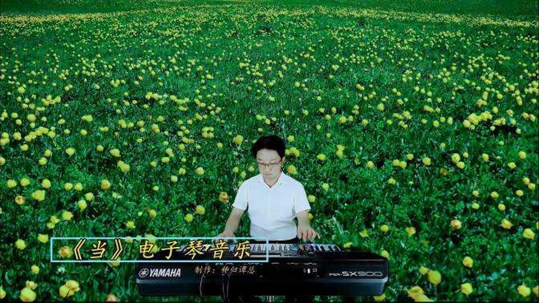 电视剧《还珠格格》片头曲《当》电子琴音乐