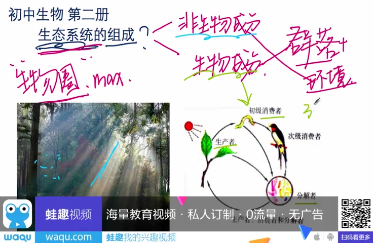 生态系统的结构与功能1-生态系统组成