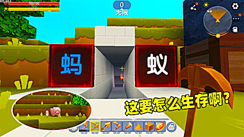 迷你世界:果果的生存日记 第114集 还没猪的一只脚大,怎么生存盖房子,...