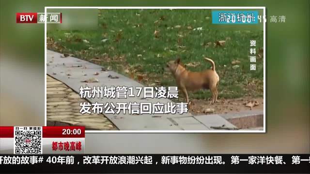 杭州城管回应:谣传!不存在打狗虐狗等暴力行为