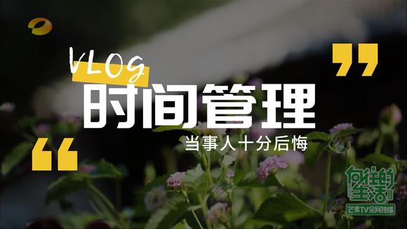 #大四生活vlog#当事人肺腑之言 毕业论文教你要做好时间管理