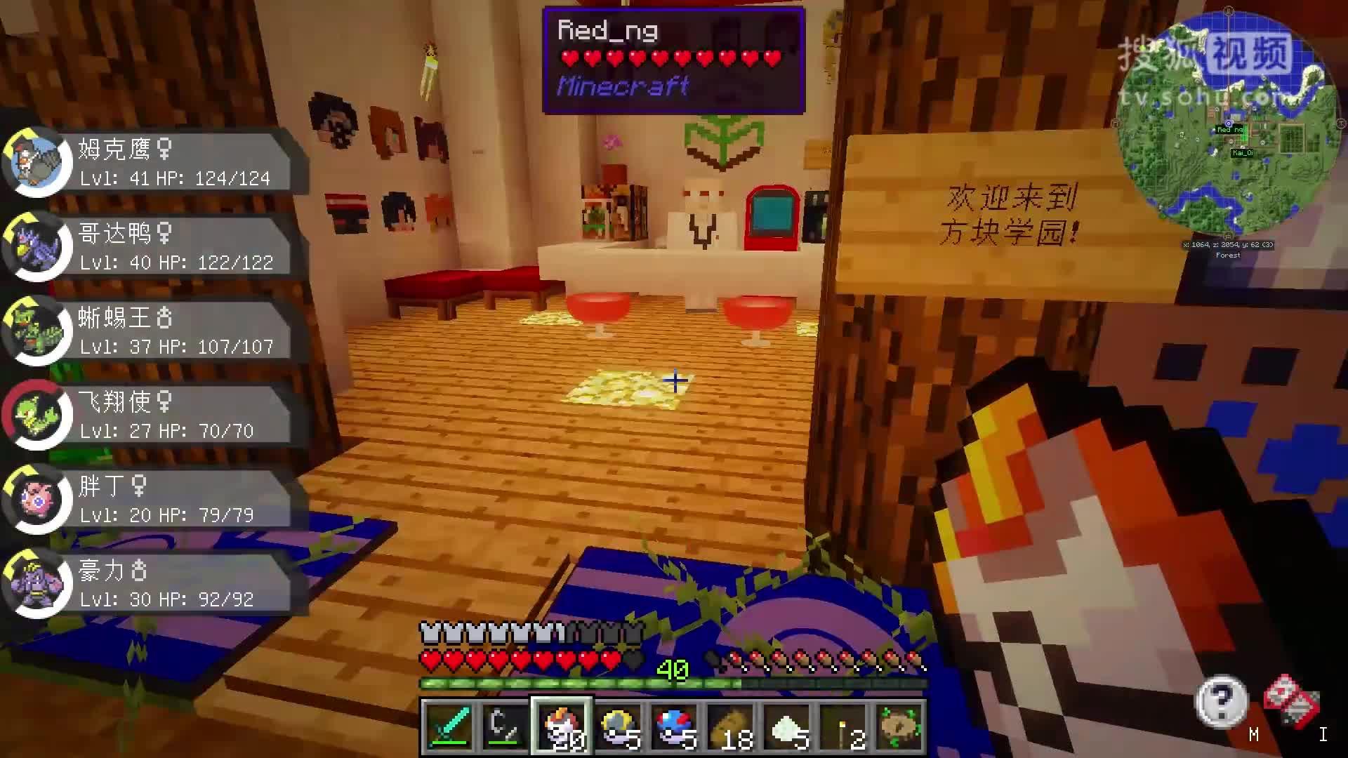 我的世界Minecraft《籽岷的方块E家宝可梦多模组生存 第八集》