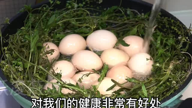 荠菜煮鸡蛋有什么好处?春天了,给家人煮上一锅