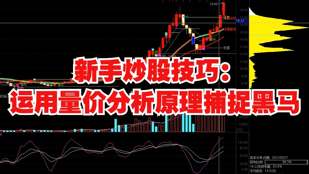   新手炒股技巧:运用量价分析原理捕捉黑马