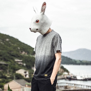 微微元素师 