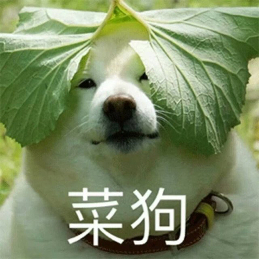 相原风琴子 