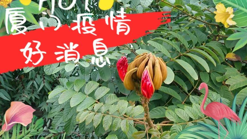 厦门疫情持续31天零增长的成绩,四月初,局部区域可能取消出入证