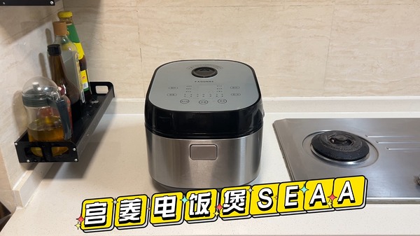 欧盟认证安全无毒的宫菱电饭煲,蒸、炖、焗都能干,适合所有家庭