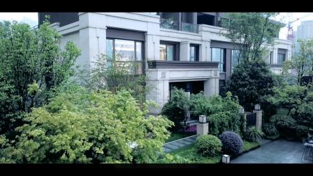 金辉控股企业宣传片亮相