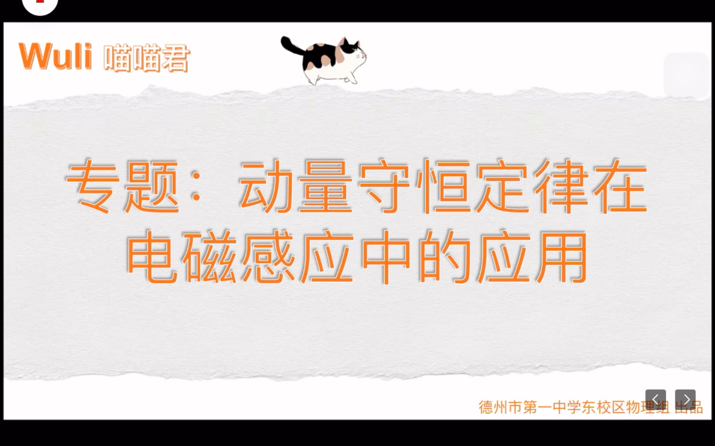 动量守恒定律在电磁感应中的应用
