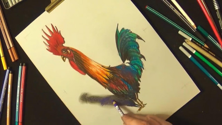 画的这只鸡看起来怪怪的,换个角度,它仿佛"活"了