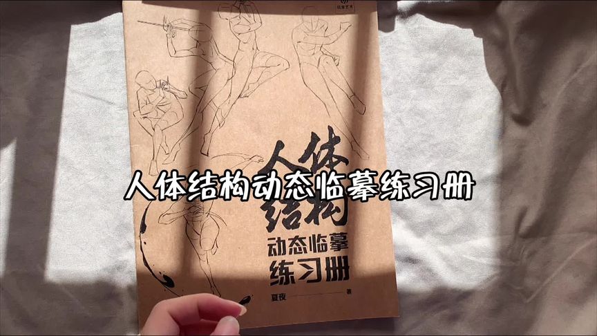 人体结构动态临摹 #火柴人 #手绘 #绘画教程 #手翻画