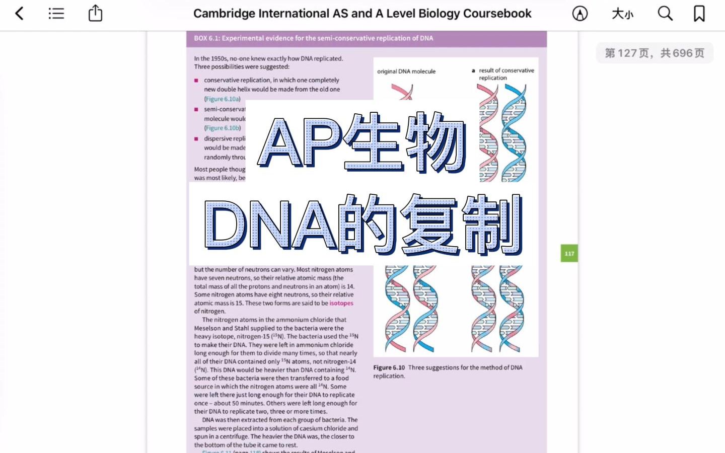 3、AP生物——DNA的复制