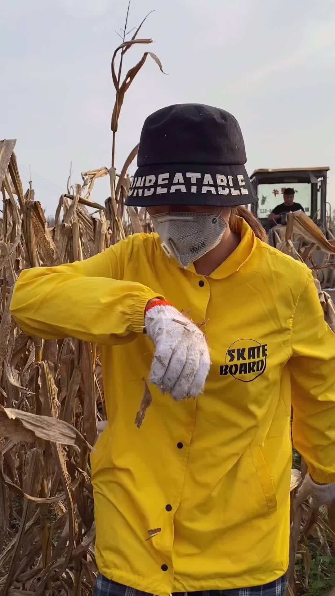 接上条视频我不止掰玉米帅我开铲车三轮农用车更帅掰玉米丰收的季节