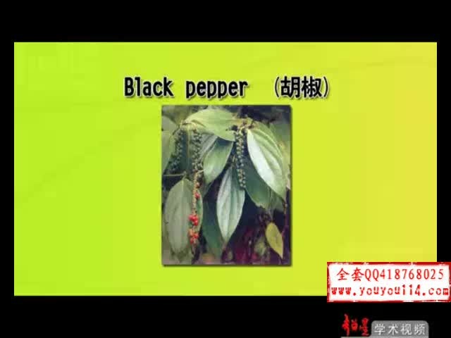 563生物技术在园艺作物上的应用 中国农业大学