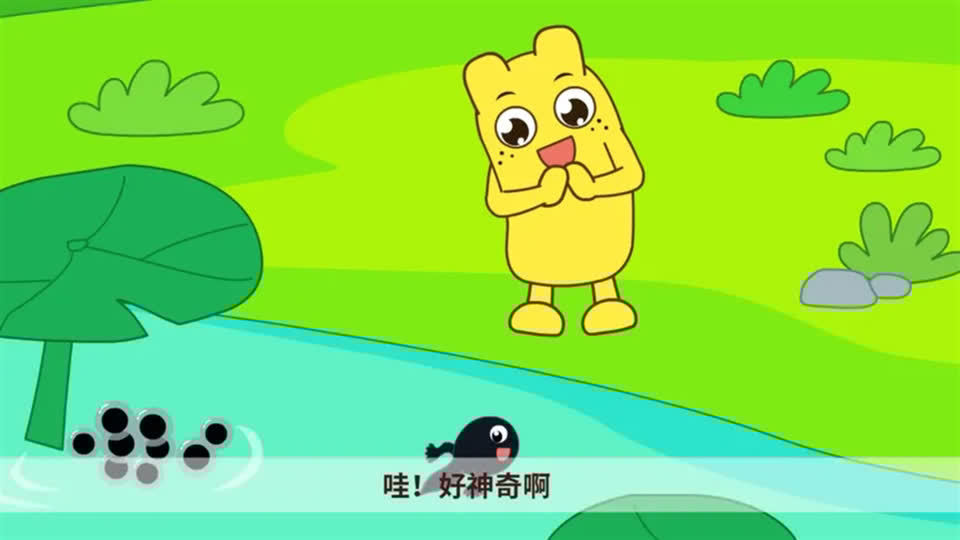 咕力动画:青蛙小朋友们一起来看可爱的小青蛙吧
